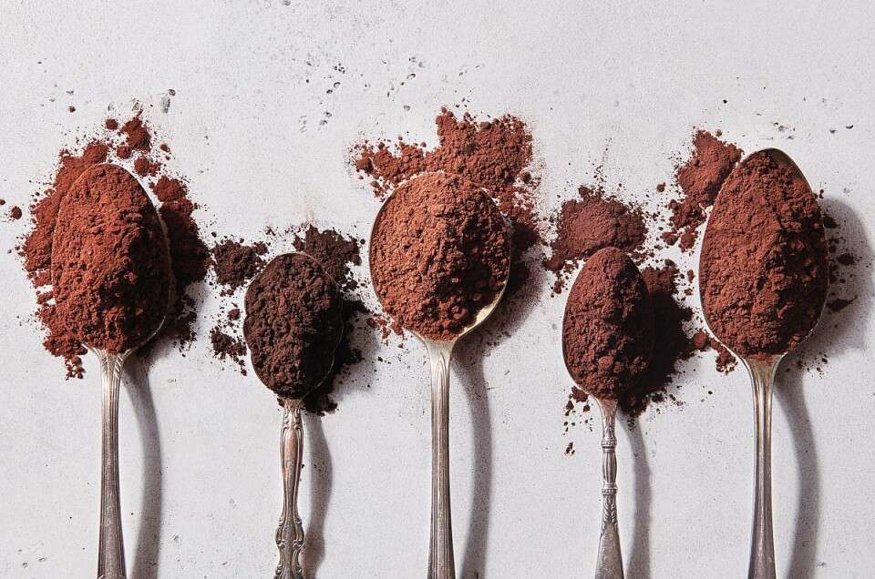 The Ultimate Guide to Understanding Cocoa Powder vs. Powdered Chocolat ...