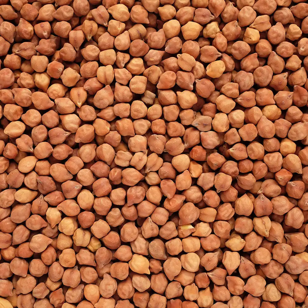 Dried Black Chickpeas / Kala Chana 55kg Clic Bulk Lentil Supplier ...