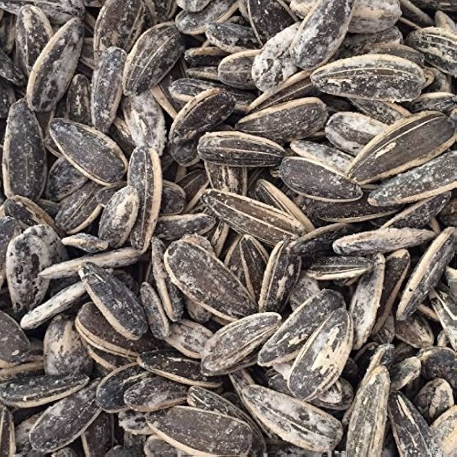 Roasted Salted Sunflower Seeds In Shell - 500 g — Bulk Mart