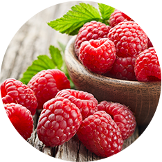 Frozen Raspberries Whole 5x1kg Alasko 00205, Bulk Mart Canada