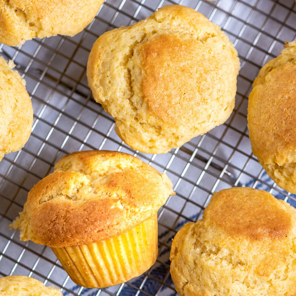 Corn Muffin Mix Pail 16.5Lbs Baker's Pantry Muffin Mix Bucket — Bulk Mart