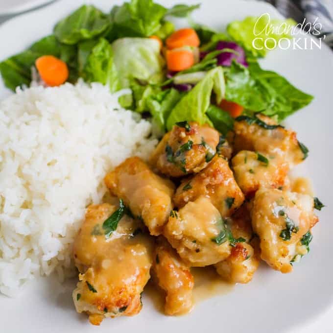 Chicken Breast Cubes 22-27 Halal 5kg Glacial Treasure #73022 — Bulk Mart