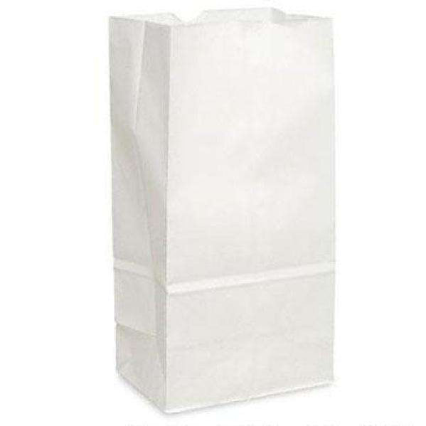 Paper Bags – Kraft & White, With or Without Handles in Bulk — Bulk Mart