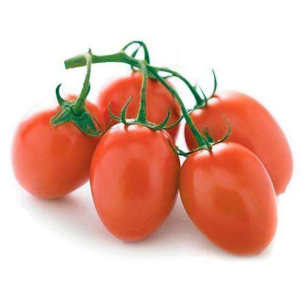 Bulk Roma Tomatoes 25 Lbs, Good Quality Wholesale Vegetables Supplier ...