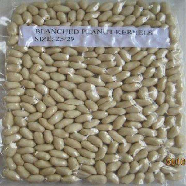 Blanched Peanuts 55 Lbs Size 30/40 Bulk Peanuts Without Skin — Bulk Mart