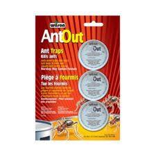 Wilson - Antout Ant Traps - 3 / Pack - Pest Control Canada - Bulk Mart